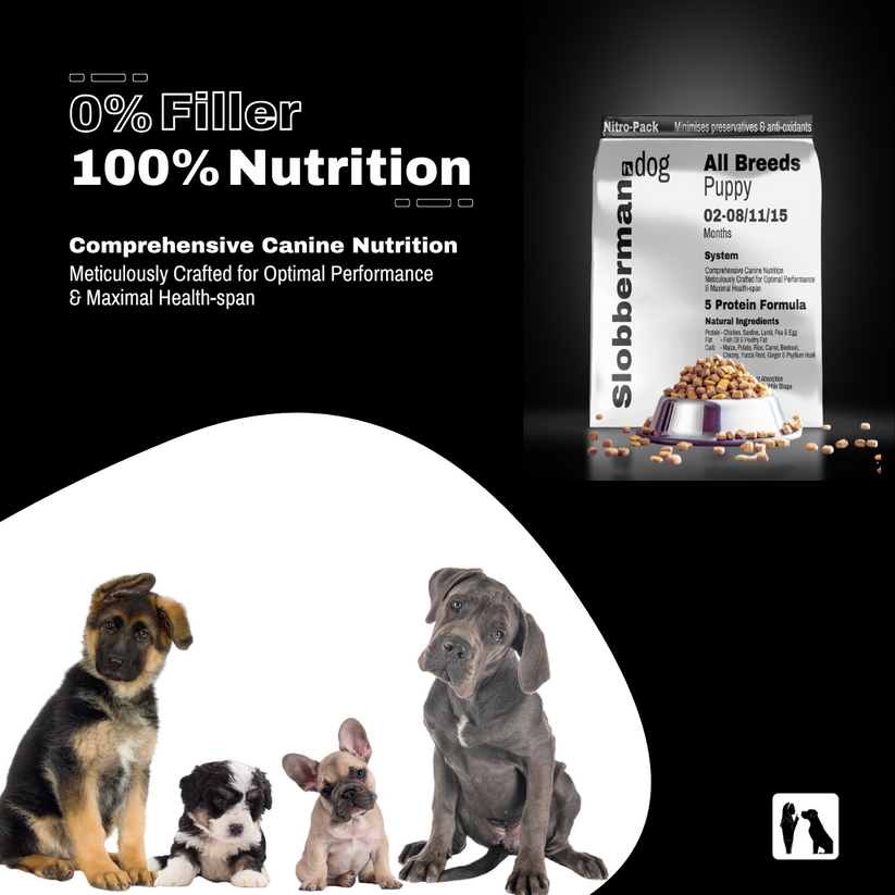 Slobberman.dog All Breeds Puppy Best Dry Dog Food [Kibble]