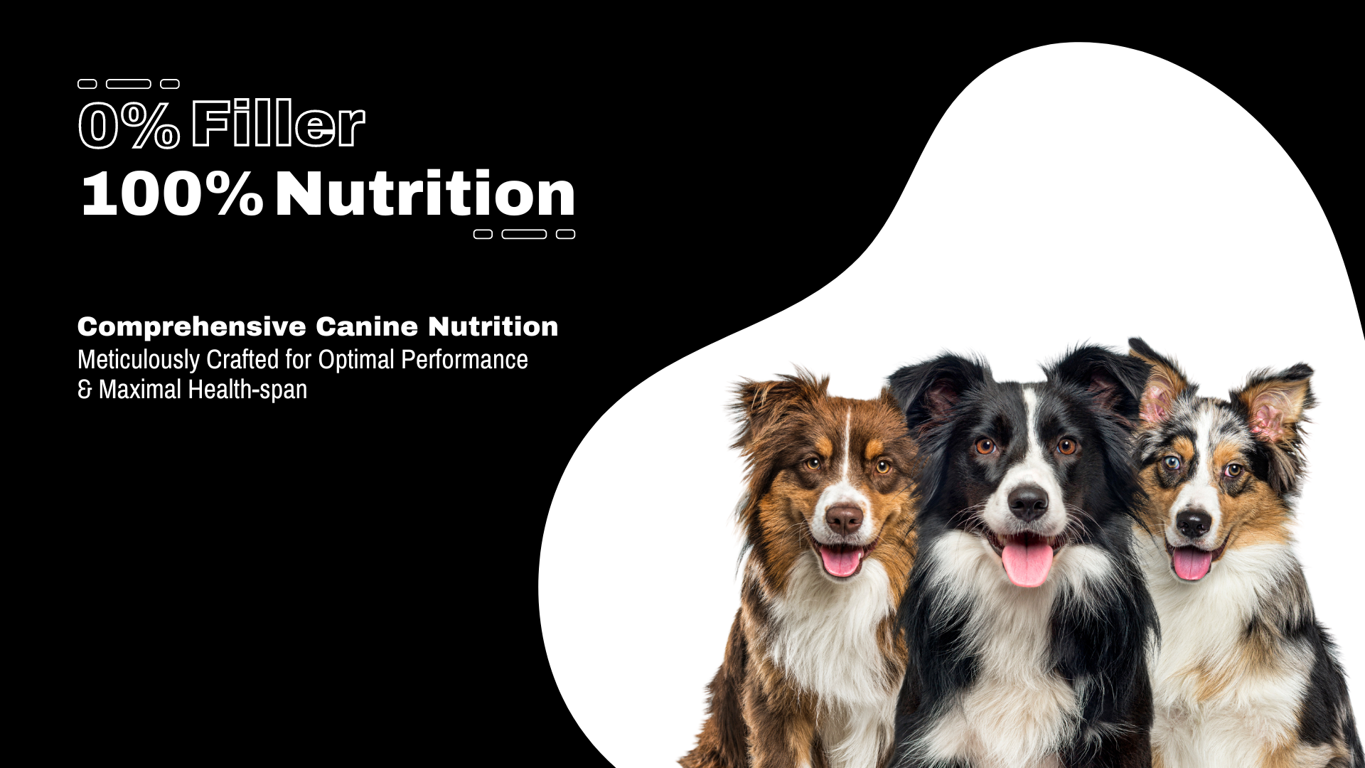 Slobberman.dog Best Dry Dog Food. High Protein(33%) Gluten Free Omega3