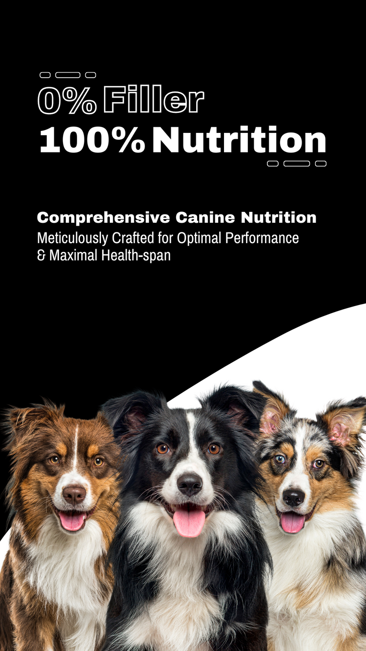 Slobberman.dog Best Dry Dog Food. High Protein(33%) Gluten Free Omega3